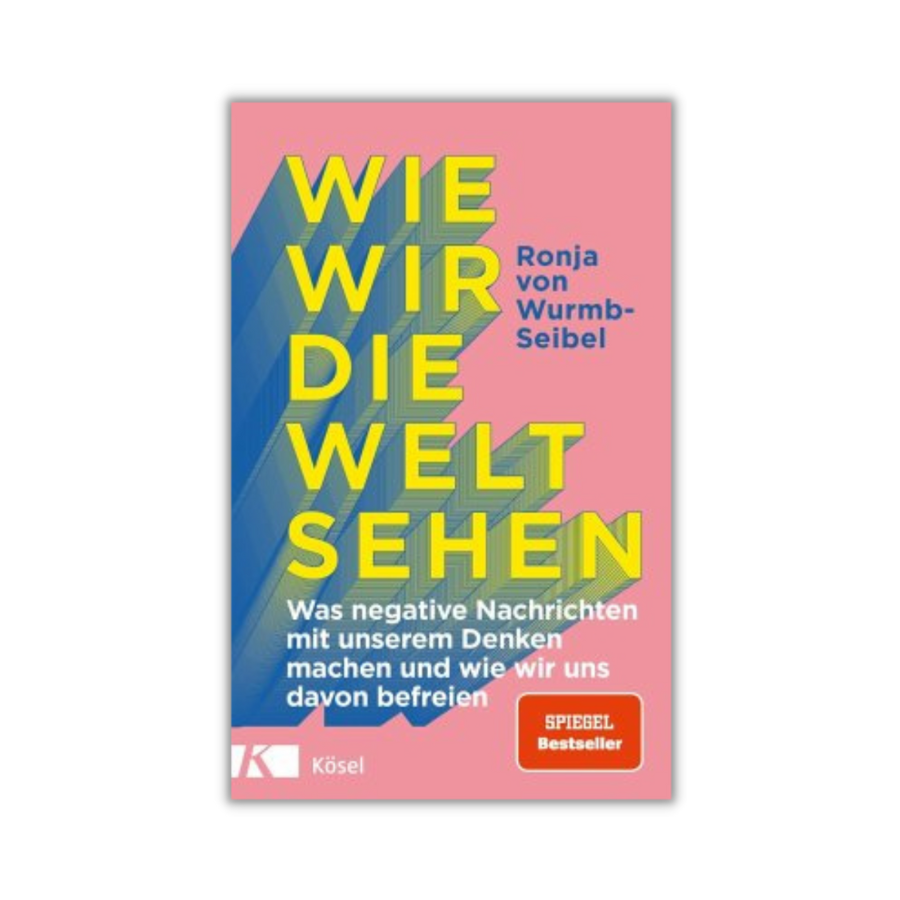 Buch Wie wir die Welt sehen
